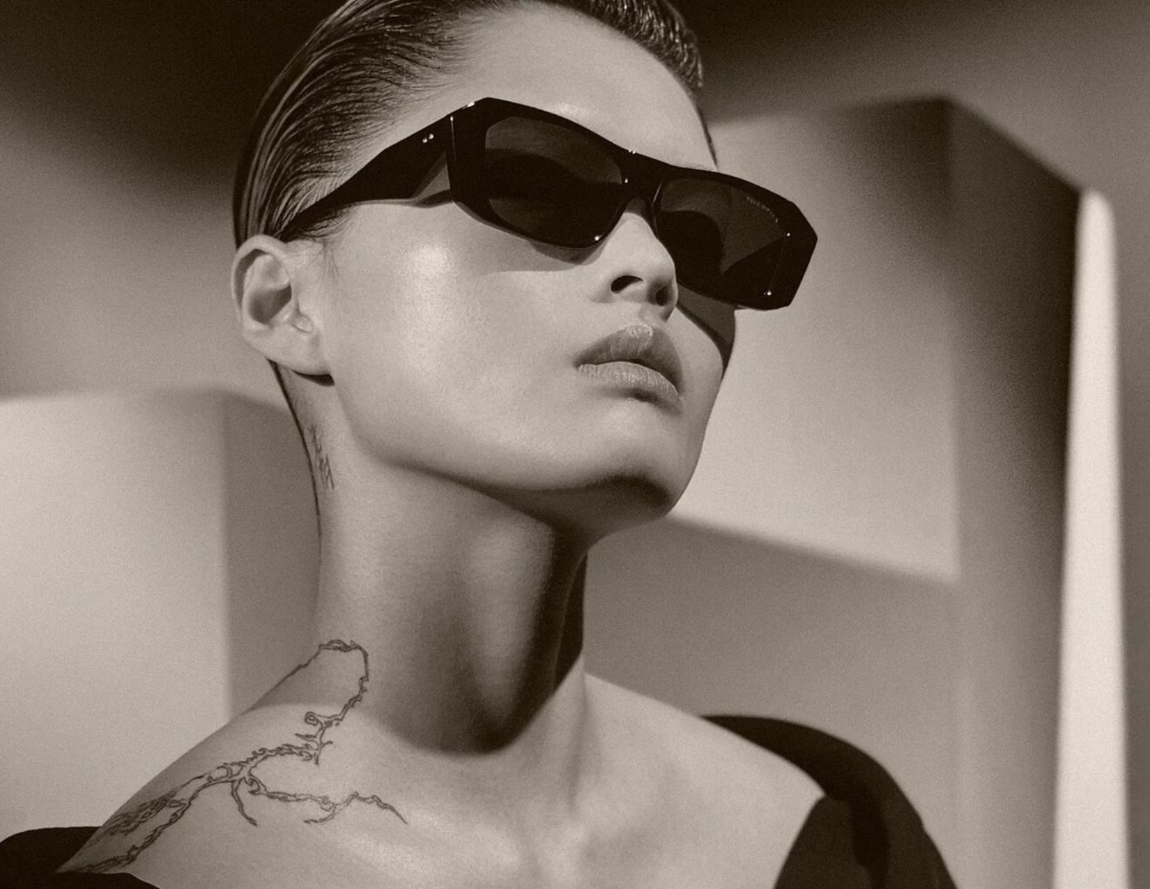 Collections – Mott Optical Group